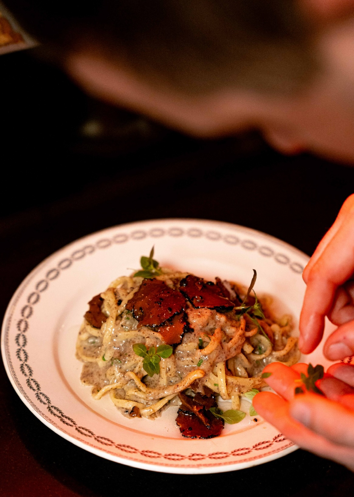 Chef Alessandro Evangelio | Private Chef | ChefMaison Canada